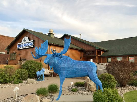 THE BLUE MOOSE BAR & GRILL - 203 Photos & 226 Reviews - 507 2nd St NW ...