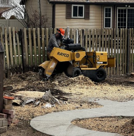 STUMP DOCTOR STUMP GRINDING SERVICE - Daphne, Alabama - Tree Services ...