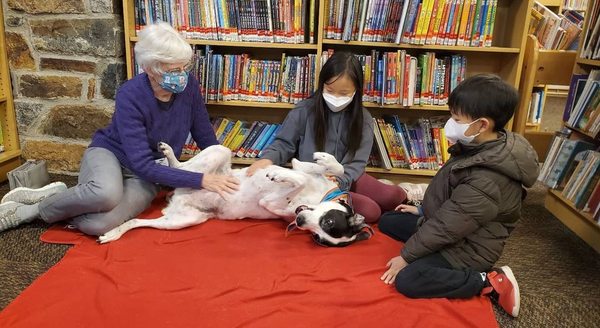 KATONAH VILLAGE LIBRARY - Updated December 2025 - 36 Photos - 26 ...