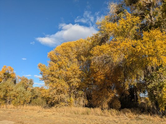 MOJAVE NARROWS REGIONAL PARK - Updated June 2026 - 138 Photos & 81 ...
