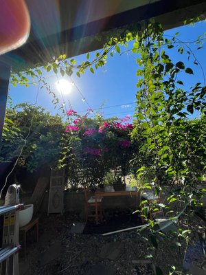 LACY STUDIO LOFTS - Updated December 2025 - 76 Photos & 20 Reviews ...