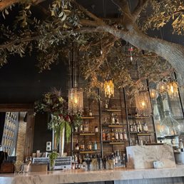 TOM TOM - Updated July 2025 - 1572 Photos & 1168 Reviews - 8932 Santa ...