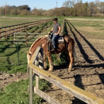 PACIFIC DUNES RIDING RANCH - Updated January 2026 - 93 Photos & 123 ...