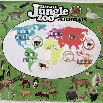 ELMVALE JUNGLE ZOO - Updated October 2025 - 167 Photos - 14191 Simcoe ...