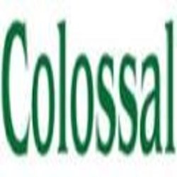 COLOSSAL CONSTRUCTION - Updated April 2024 - 120 E Canal St, Ansonia, Ohio - General Contractors ...