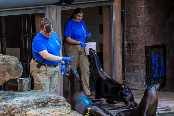 PITTSBURGH ZOO & AQUARIUM - Updated October 2025 - 1635 Photos & 395 ...