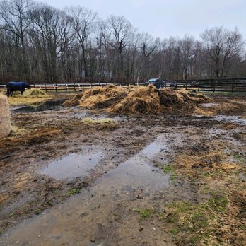 VICTORY STABLES - Updated January 2026 - 78 Photos & 12 Reviews - 121 ...