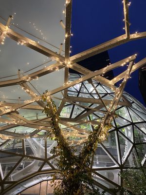 AMAZON SPHERES - Updated April 2025 - 1074 Photos & 136 Reviews - 2111 ...