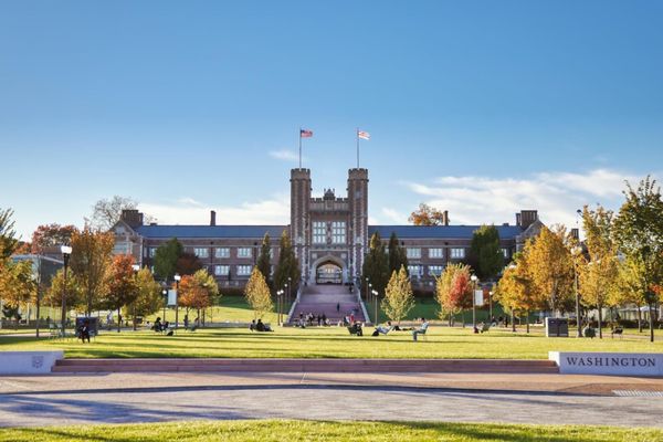 WASHINGTON UNIVERSITY IN ST. LOUIS - Updated May 2024 - 203 Photos & 38 ...