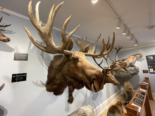 WOODMAN MUSEUM - Updated October 2025 - 15 Photos - 182 Central Ave ...