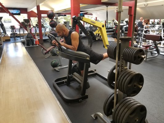 ALEX FITNESS - Updated August 2025 - 39 Photos & 75 Reviews - 2275 ...