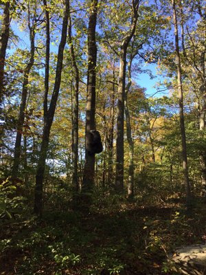 Gambrill State Park - 40 Photos & 17 Reviews - Parks - Gambrill Park Rd ...