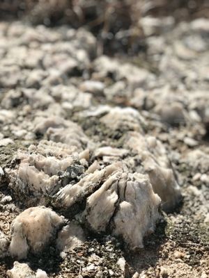 ALABASTER CAVERNS STATE PARK - Updated May 2025 - 55 Photos & 23 ...