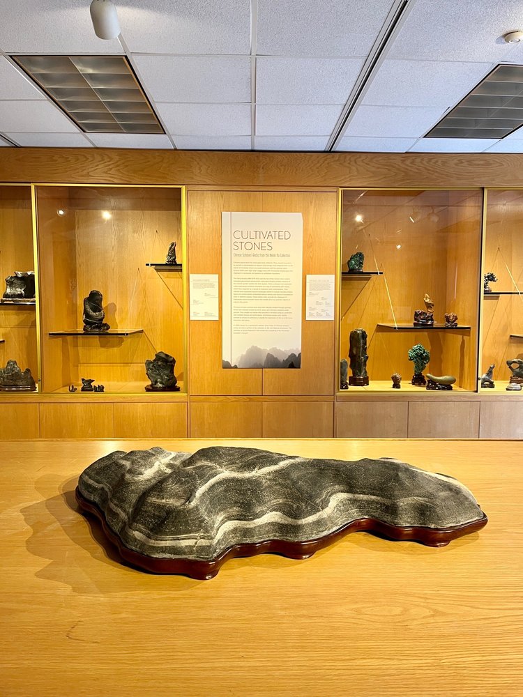 National Bonsai & Penjing Museum, Washington | Roadtrippers