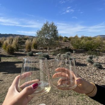 ANABA WINES - Updated May 2024 - 303 Photos & 297 Reviews - 62 Bonneau ...