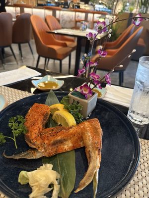 WASABI JAPANESE CUISINE - Updated January 2026 - 19 Photos & 16 Reviews ...