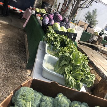 SANCHEZ PRODUCE - Updated October 2024 - 43 Photos & 12 Reviews - 16230 ...