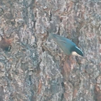 CALLAHAN PARK - Updated October 2025 - 76 Photos & 12 Reviews - 15960 ...