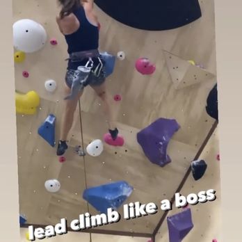 GECKO CLIMBING GYM - Updated November 2024 - 75 Photos & 36 Reviews ...