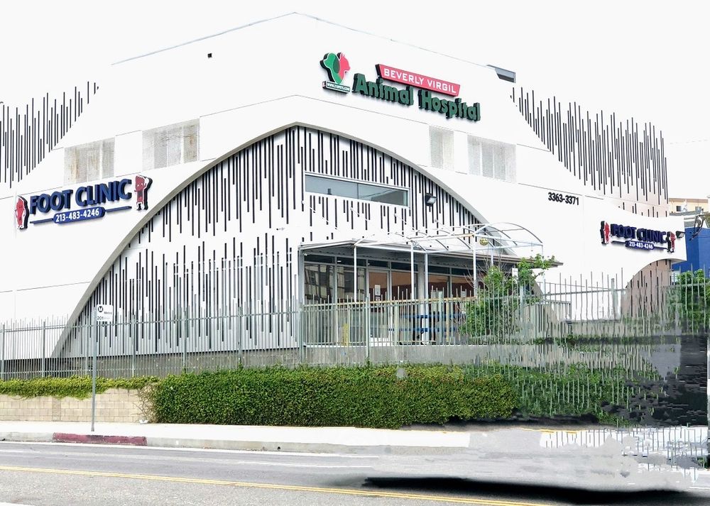 SUNSET FOOT CLINIC - THOMAS D LIM, DPM | LOS ANGELES - Updated July ...