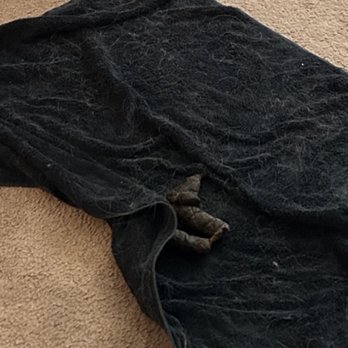 REDPOINT RALEIGH - Updated December 2025 - 40 Photos & 17 Reviews - 10 ...