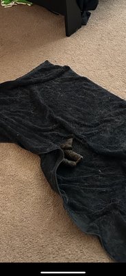 REDPOINT RALEIGH - Updated December 2025 - 40 Photos & 17 Reviews - 10 ...