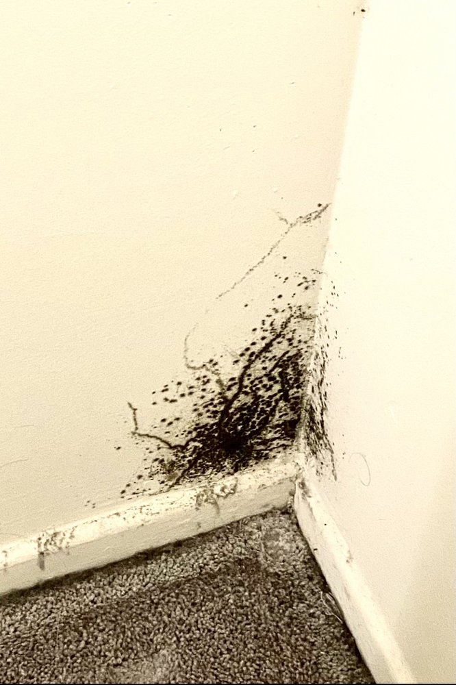 KNIGHT ENVIRONMENTAL CONSULTING - Updated January 2026 - 13 Photos & 16 ...