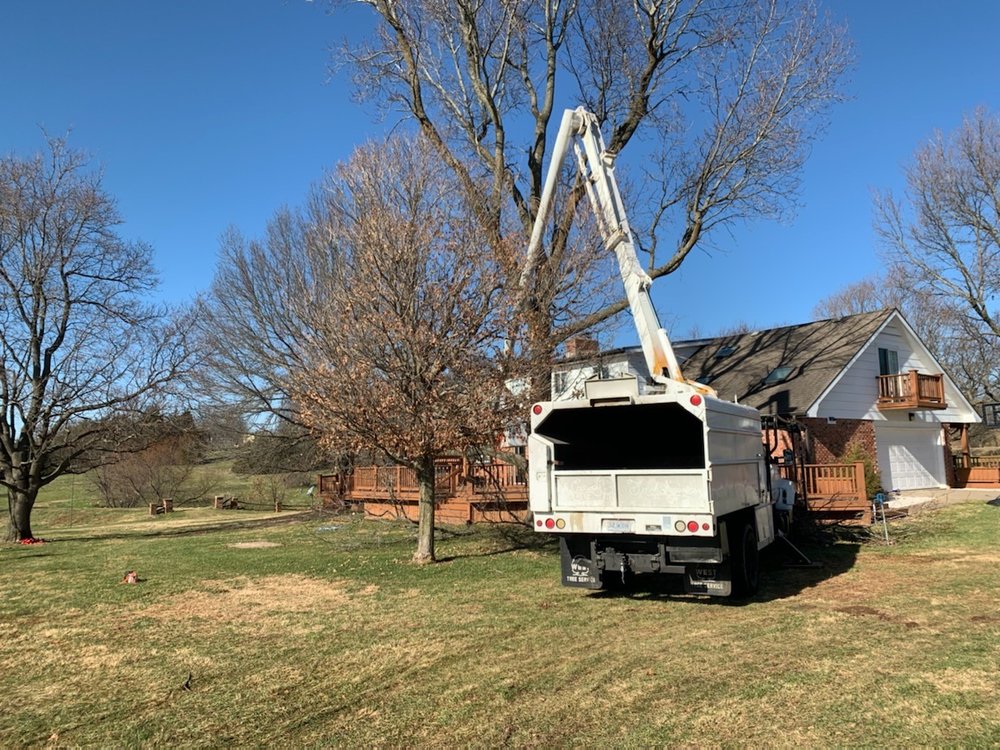 CANOPY TREE SERVICE - Updated September 2025 - 2980 E Farm Rd 94 ...