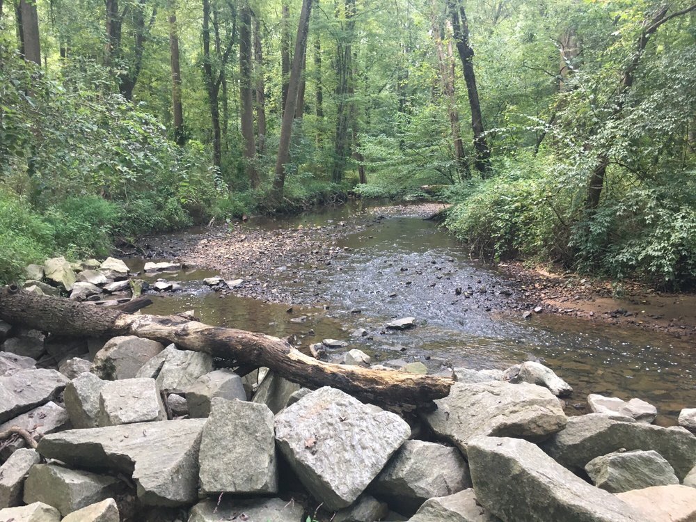 HOLMES RUN STREAM VALLEY PARK - Updated February 2025 - Valleycrest ...