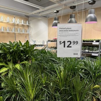 IKEA - Updated April 2025 - 615 Photos & 533 Reviews - 7171 Ikea Dr ...