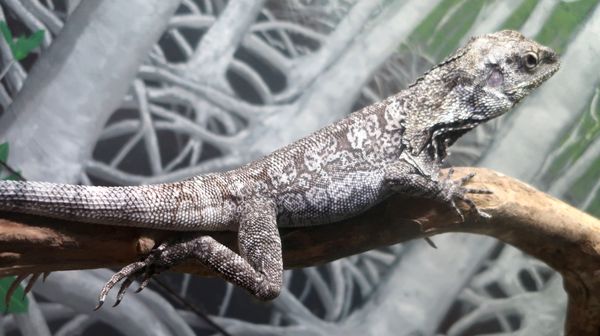 ALLIGATOR ADVENTURE - 557 Photos & 183 Reviews - Amusement Parks - 4604 ...