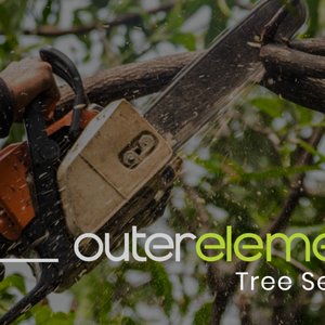 RYAN TREE SERVICE - Updated May 2024 - 12 Photos & 23 Reviews - 2098 ...