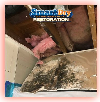 SMART DRY RESTORATION - 109 Photos & 149 Reviews - Damage Restoration ...