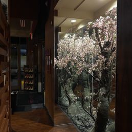 DRAGONFLY ROBATA GRILL & SUSHI - Updated September 2025 - 2779 Photos ...