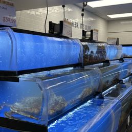 H MART - Updated July 2025 - 787 Photos & 137 Reviews - 2620 S Decatur ...