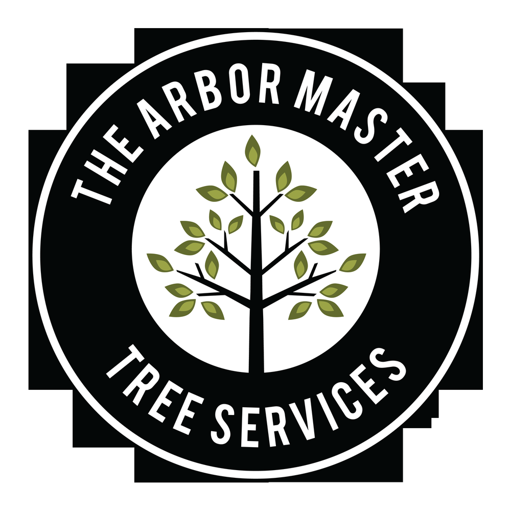 THE ARBOR MASTER TREE SERVICES - Kendal, Lancashire, United Kingdom ...