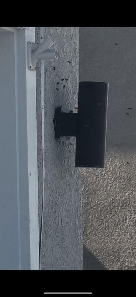 PEST ASSURE - Updated October 2025 - 62 Photos - 8537 New Windsor St ...