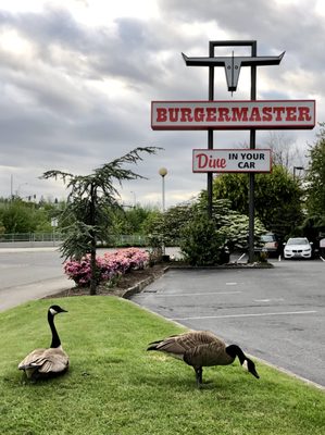 BURGERMASTER - Updated August 2024 - 419 Photos & 587 Reviews - 10606 ...