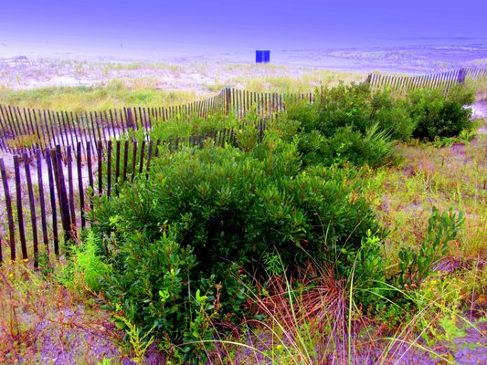 STRATHMERE BEACH - Updated August 2025 - 62 Photos & 19 Reviews ...