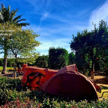 GLESS RANCH - Updated December 2025 - 389 Photos & 197 Reviews - 19985 ...