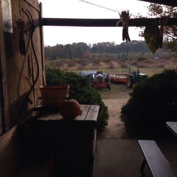 BERRY PATCH FARMS - Updated July 2025 - 25 Photos & 40 Reviews - 786 ...