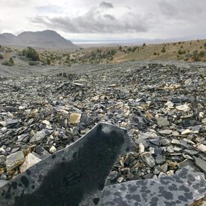 U-DIG FOSSILS - 39 Photos & 20 Reviews - Death Canyon Rd, Delta, Utah ...