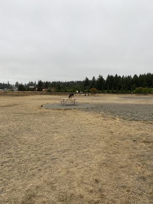HAWK’S PRAIRIE OFF LEASH DOG PARK - Updated November 2024 - 55 Photos ...