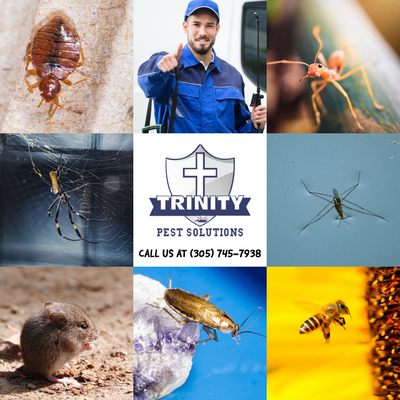 TRINITY PEST SOLUTIONS - Updated October 2025 - 220 Photos & 26 Reviews ...