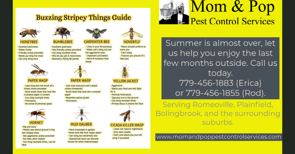 MOM & POP PEST CONTROL SERVICES - Updated May 2025 - 11 Photos & 16 ...