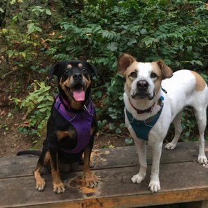 PETS ON BROADWAY - 104 Photos & 226 Reviews - 2762 NE Broadway St ...