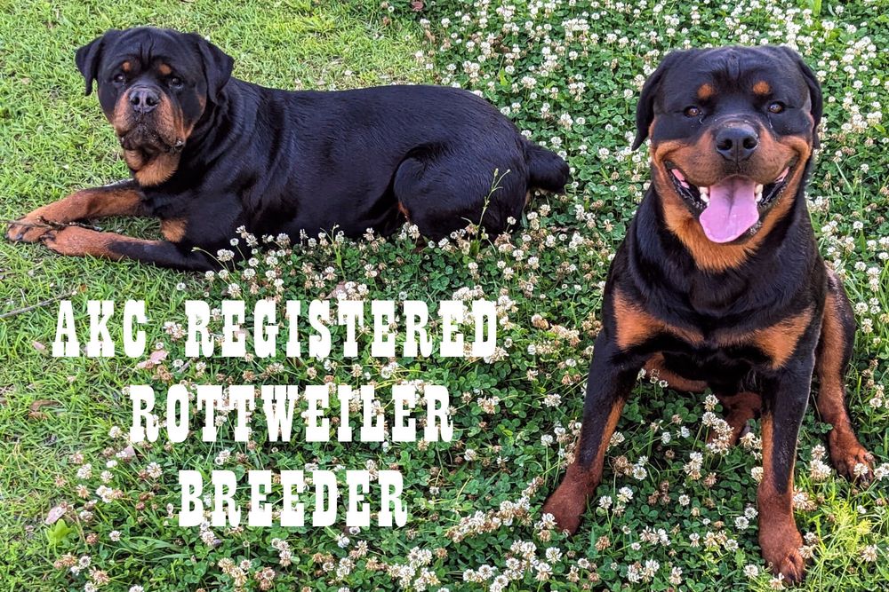 Handley Ranch - Trusted Since 2020 - Updated July 2025 - 12170 Pleasant ...