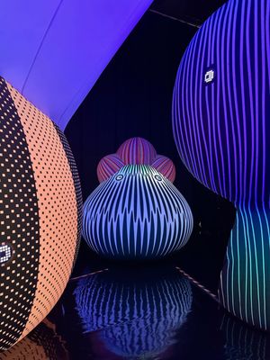 BALLOON MUSEUM - Updated September 2025 - 321 Photos & 69 Reviews ...