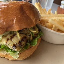 GUMBO LIMBO - 457 Photos & 282 Reviews - 280 Vanderbilt Beach Rd ...