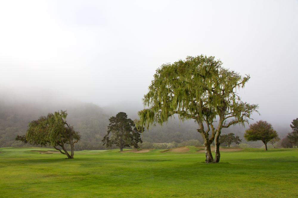 LAGUNA SECA GOLF RANCH - Updated January 2026 - 77 Photos & 72 Reviews ...